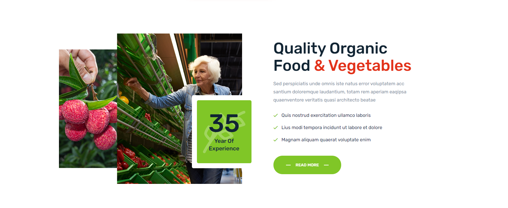 Tomatu Organic Foods WordPress Theme